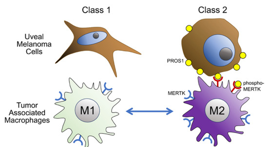 BAP1 Loss Promotes Suppressive Tumor Immune Microenvironment via ...