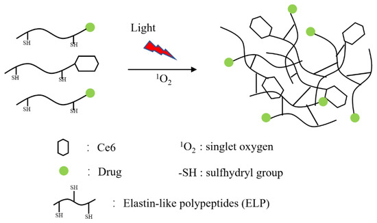 Application of Elastin-like Polypeptide in Tumor Therapy