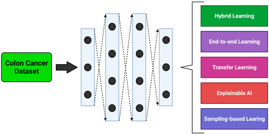 Deep Neural Network Models for Colon Cancer Screening