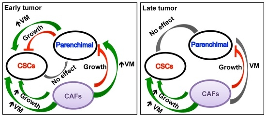 Cancers | Free Full-Text | Cancer Associated Fibroblast (CAF ...