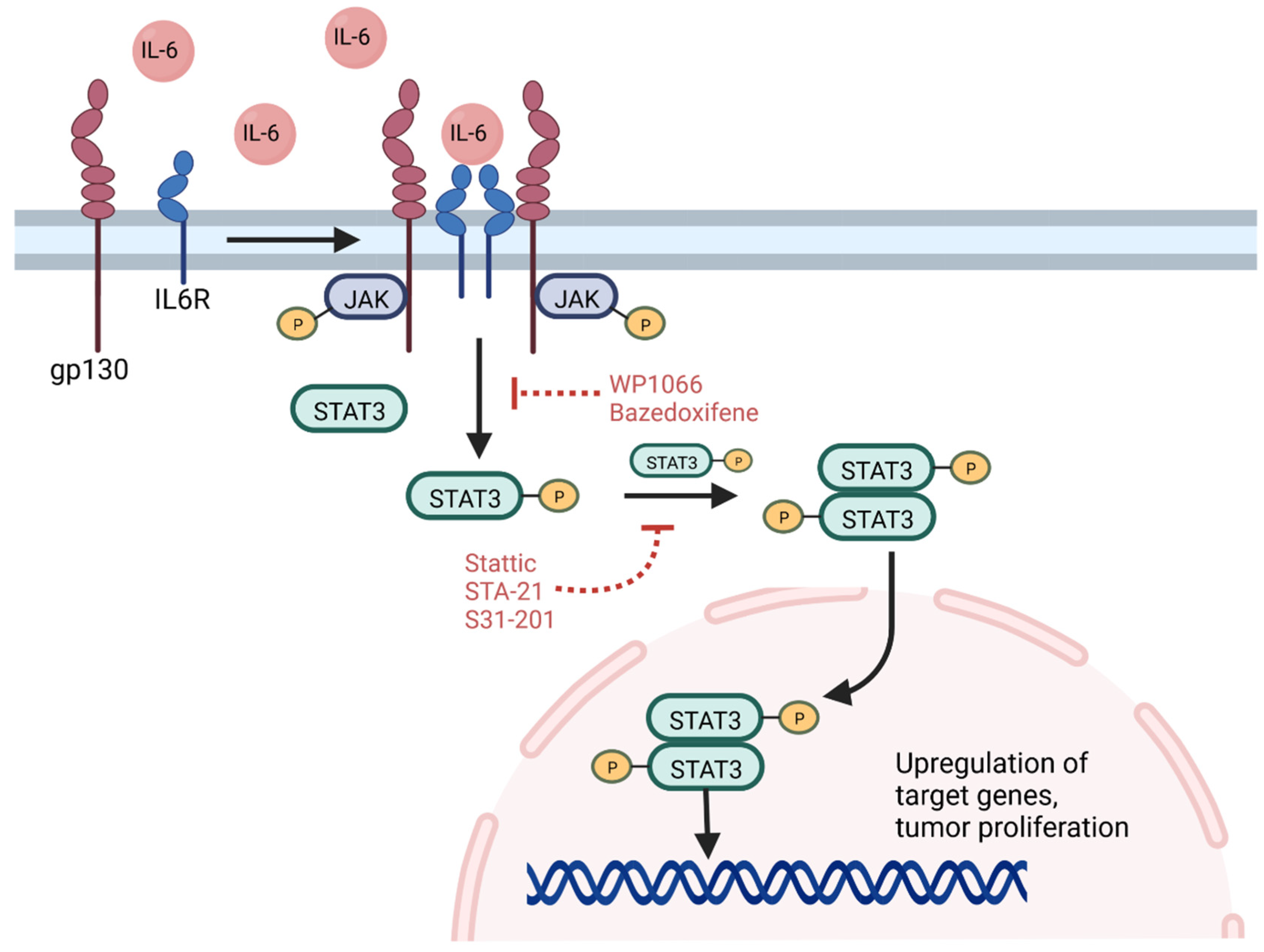Signal Transduction Pathways Of Glioblastoma Stem Cells Encyclopedia Mdpi