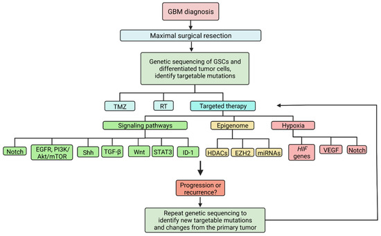 Molecular Pathways and Genomic Landscape of Glioblastoma Stem Cells ...