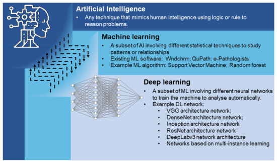 Current Developments of Artificial Intelligence in Digital Pathology ...