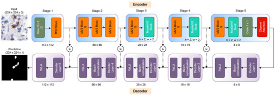 ICOSeg: Real-Time ICOS Protein Expression Segmentation from ...