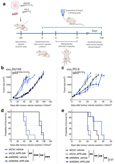 Cancers | An Open Access Journal from MDPI