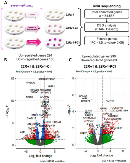 Transcriptomic Profiling Analysis of Castration-Resistant Prostate ...