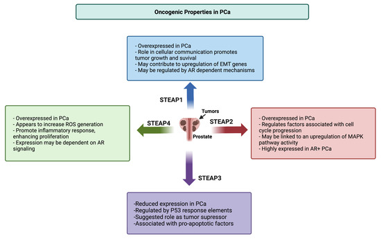 STEAP1–4 (Six-Transmembrane Epithelial Antigen of the Prostate 1–4) and ...