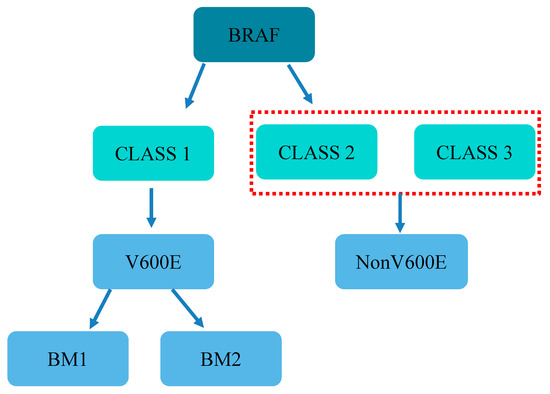 BRAF Mutations in Colorectal Liver Metastases: Prognostic Implications ...