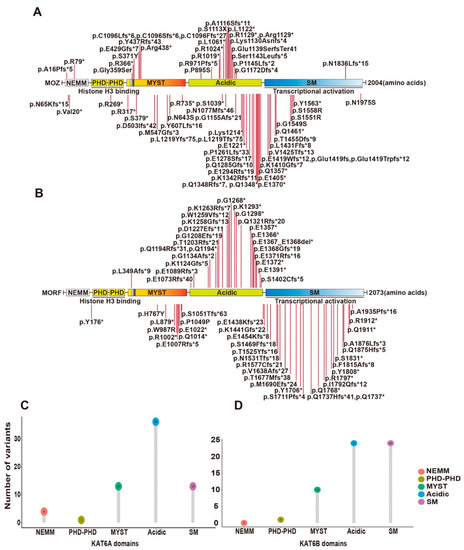 BRPF1-KAT6A/KAT6B Complex: Molecular Structure, Biological Function and ...