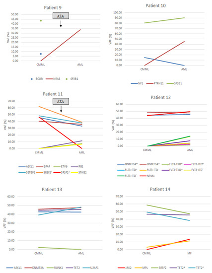 Real-World Data on Chronic Myelomonocytic Leukemia: Clinical and Molecular Characteristics ...