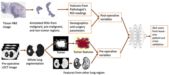 Cancers | Free Full-Text | Lung Cancer Recurrence Risk Prediction ...