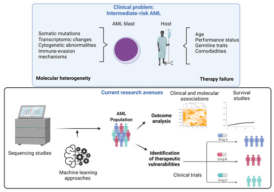 A Focus on Intermediate-Risk Acute Myeloid Leukemia: Sub-Classification ...
