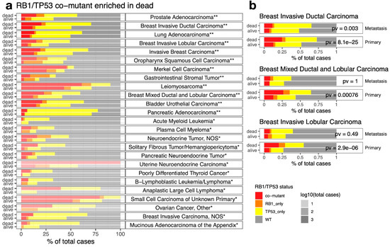 A Pan-Cancer Assessment of RB1/TP53 Co-Mutations