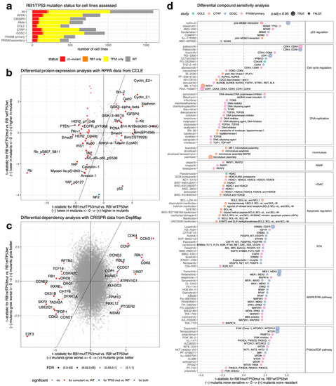 A Pan-Cancer Assessment of RB1/TP53 Co-Mutations
