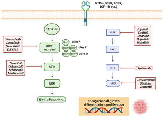 BRAF and MEK Targeted Therapies in Pediatric Central Nervous System Tumors