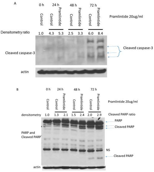 Pramlintide: A Novel Therapeutic Approach for Osteosarcoma through ...