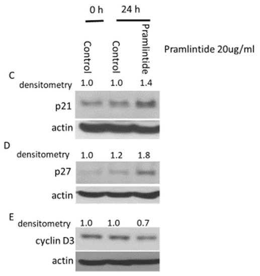 Pramlintide: A Novel Therapeutic Approach for Osteosarcoma through ...