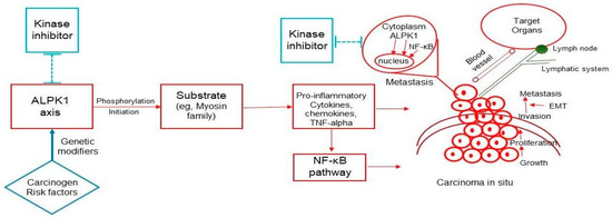 Systematic Review of the Role of Alpha-Protein Kinase 1 in Cancer and ...