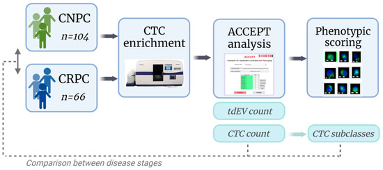 Characterizing Circulating Tumor Cells and Tumor-Derived Extracellular ...