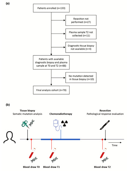 Circulating Tumor DNA-Based Disease Monitoring of Patients with Locally ...