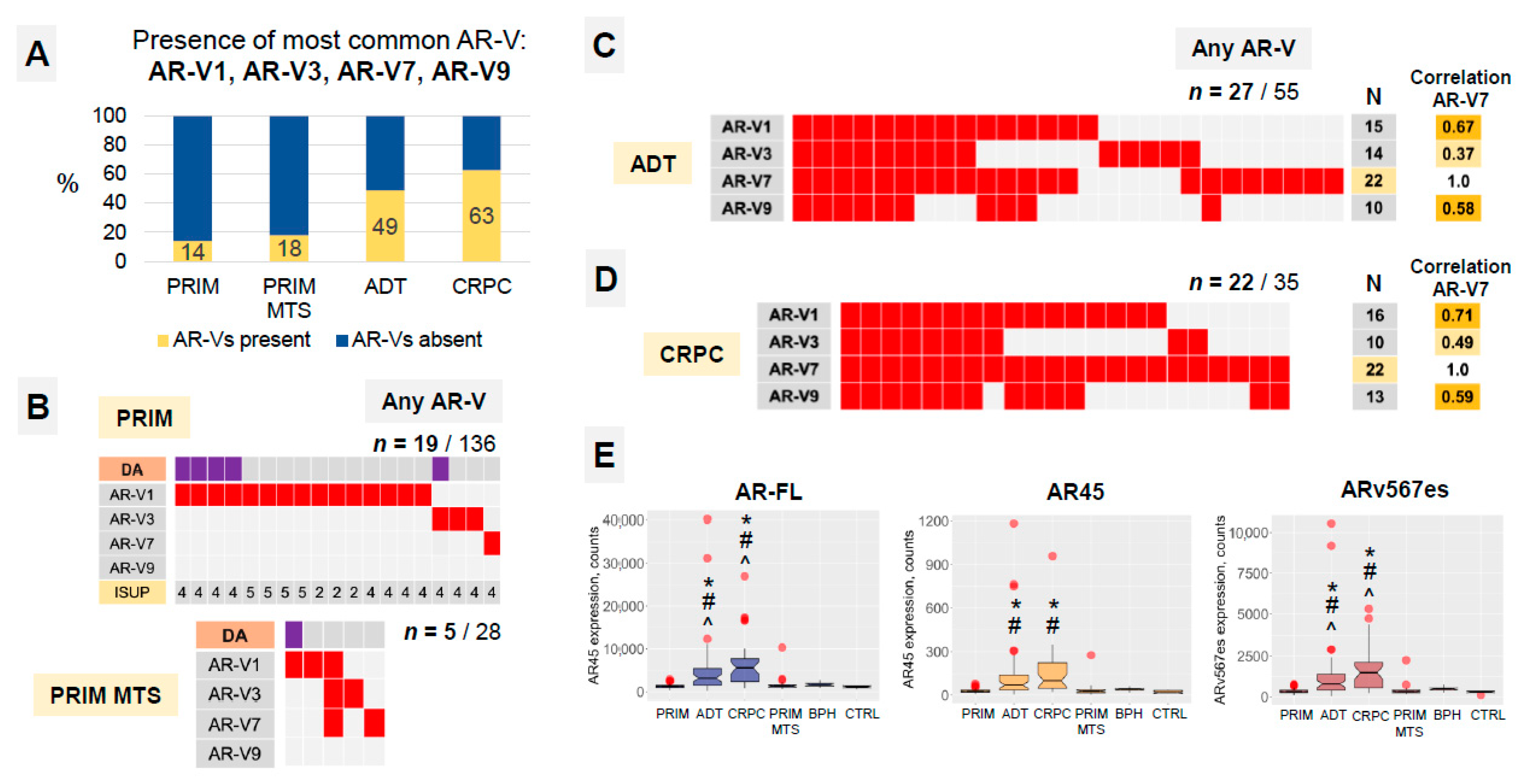 Cancers | Free Full-Text | Androgen Receptor Splice Variants Contribute to the Upregulation of ...