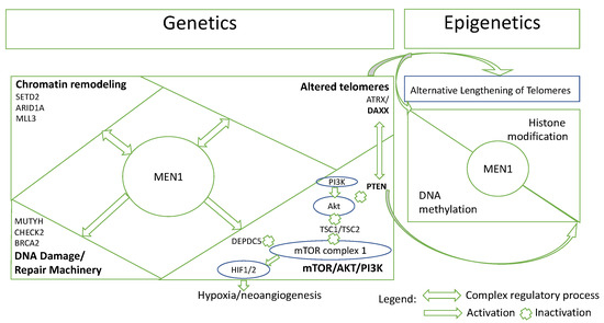 Cancers | Free Full-Text | Insights into Epigenetic Changes Related to ...
