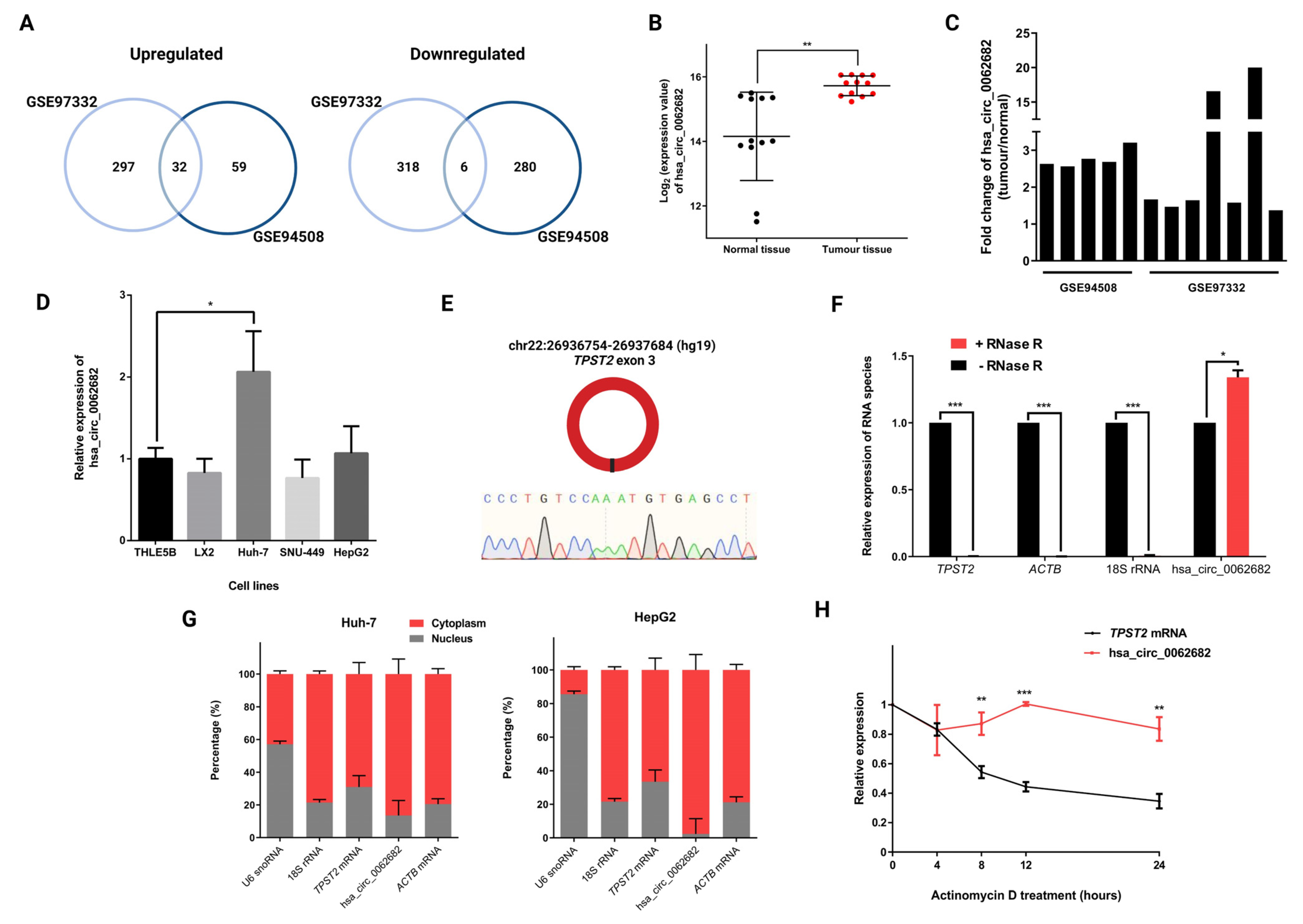 Cancers Free Full Text Circular Rna Hsa Circ 0062682 Binds To Ybx1
