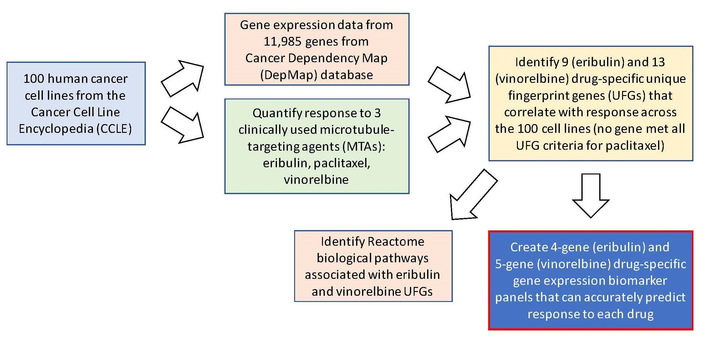 Cancers | Free Full-Text | Systematic Analysis of Genetic and Pathway ...