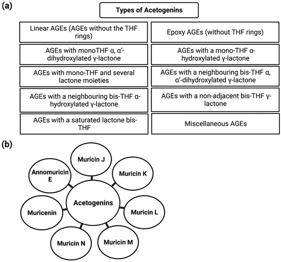 A Review on Annona muricata and Its Anticancer Activity