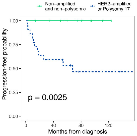 Addition of Chromosome 17 Polysomy and HER2 Amplification Status ...