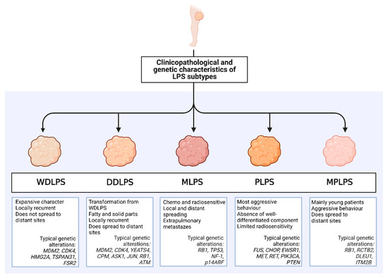 The Immune Contexture of Liposarcoma and Its Clinical Implications