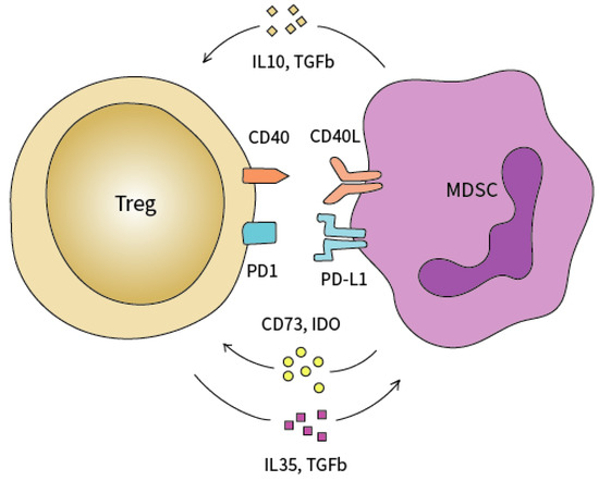 Regulatory T Cells in Pancreatic Cancer: Of Mice and Men