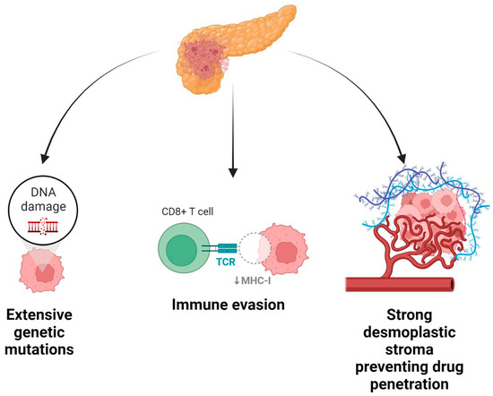 Single Cell RNA Sequencing: A New Frontier in Pancreatic Ductal ...