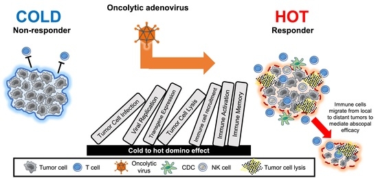 Cancers | Free Full-Text | Oncolytic Adenoviruses: The Cold War against ... Cancers | Free Full-Text | Oncolytic Adenoviruses: The Cold War against ...