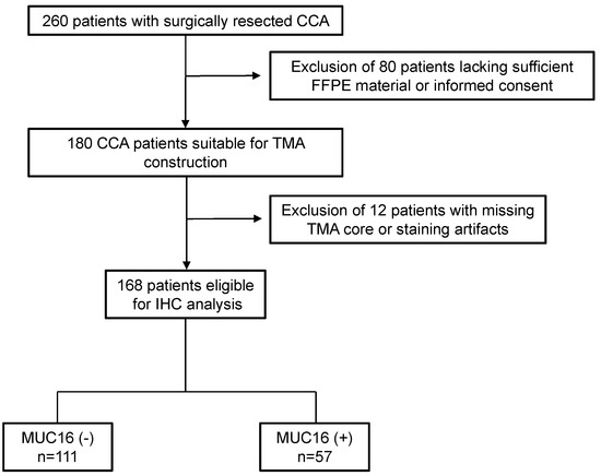 Cancers | Free Full-Text | Expression of MUC16/CA125 Is Associated with ...