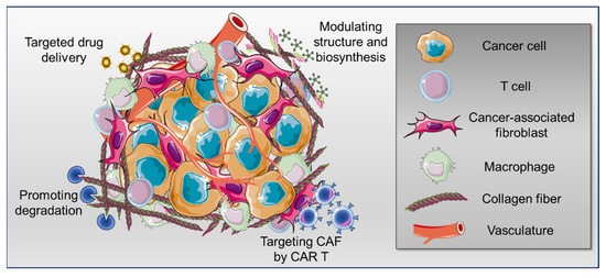 Strategies for Efficient Targeting of Tumor Collagen for Cancer Therapy