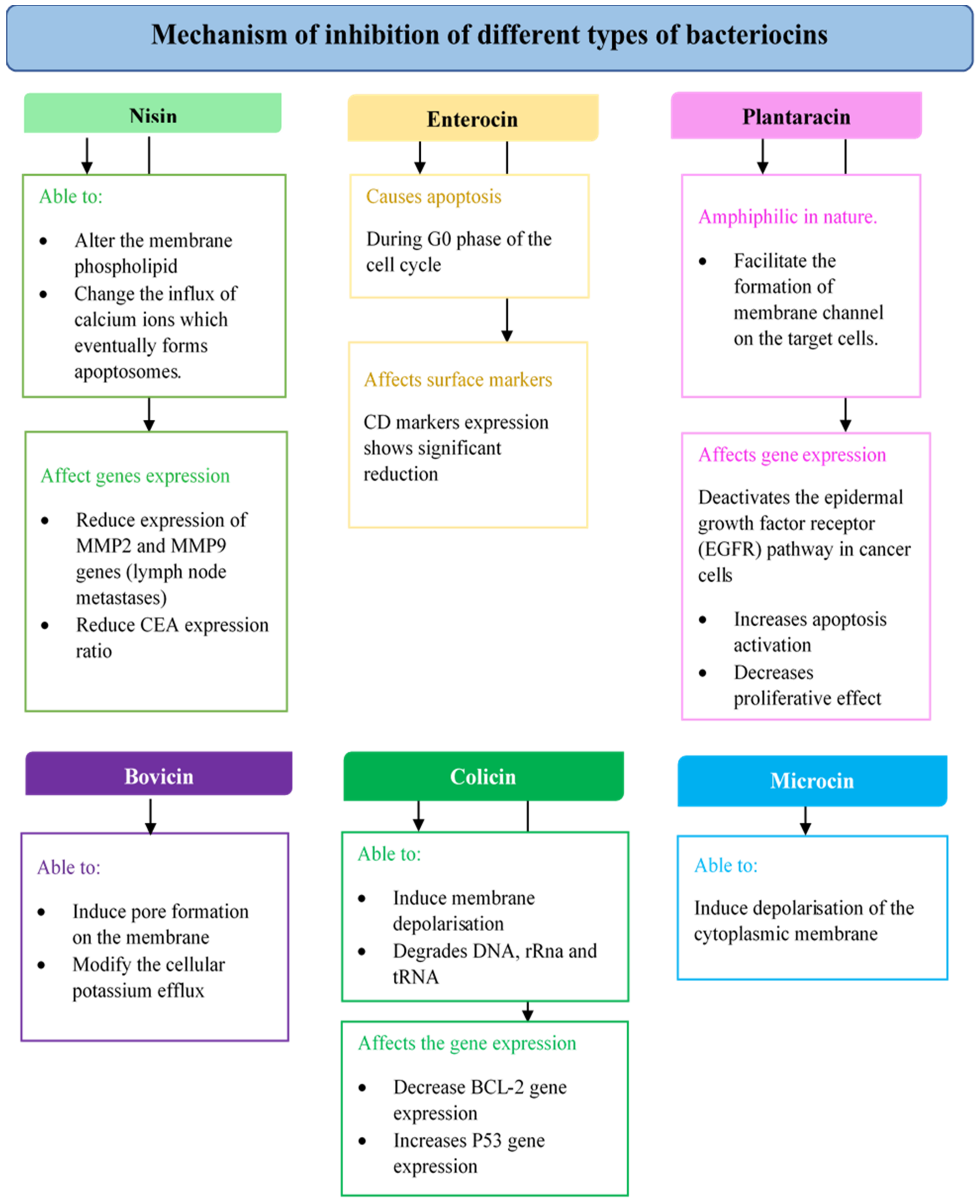 Bacteriocins as Potential Therapeutic Approaches in the Treatment of Various Cancers: A Review ...