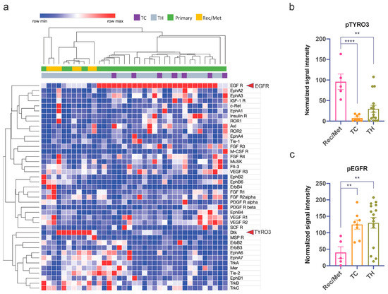 Phosphoproteomic Analysis Identifies TYRO3 as a Mediator of Sunitinib ...