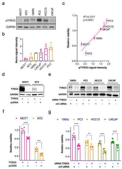 Phosphoproteomic Analysis Identifies TYRO3 as a Mediator of Sunitinib ...