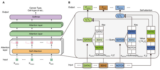 Cancers | Free Full-Text | Transformer for Gene Expression Modeling (T ...