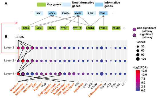 Transformer for Gene Expression Modeling (T-GEM): An Interpretable Deep ...