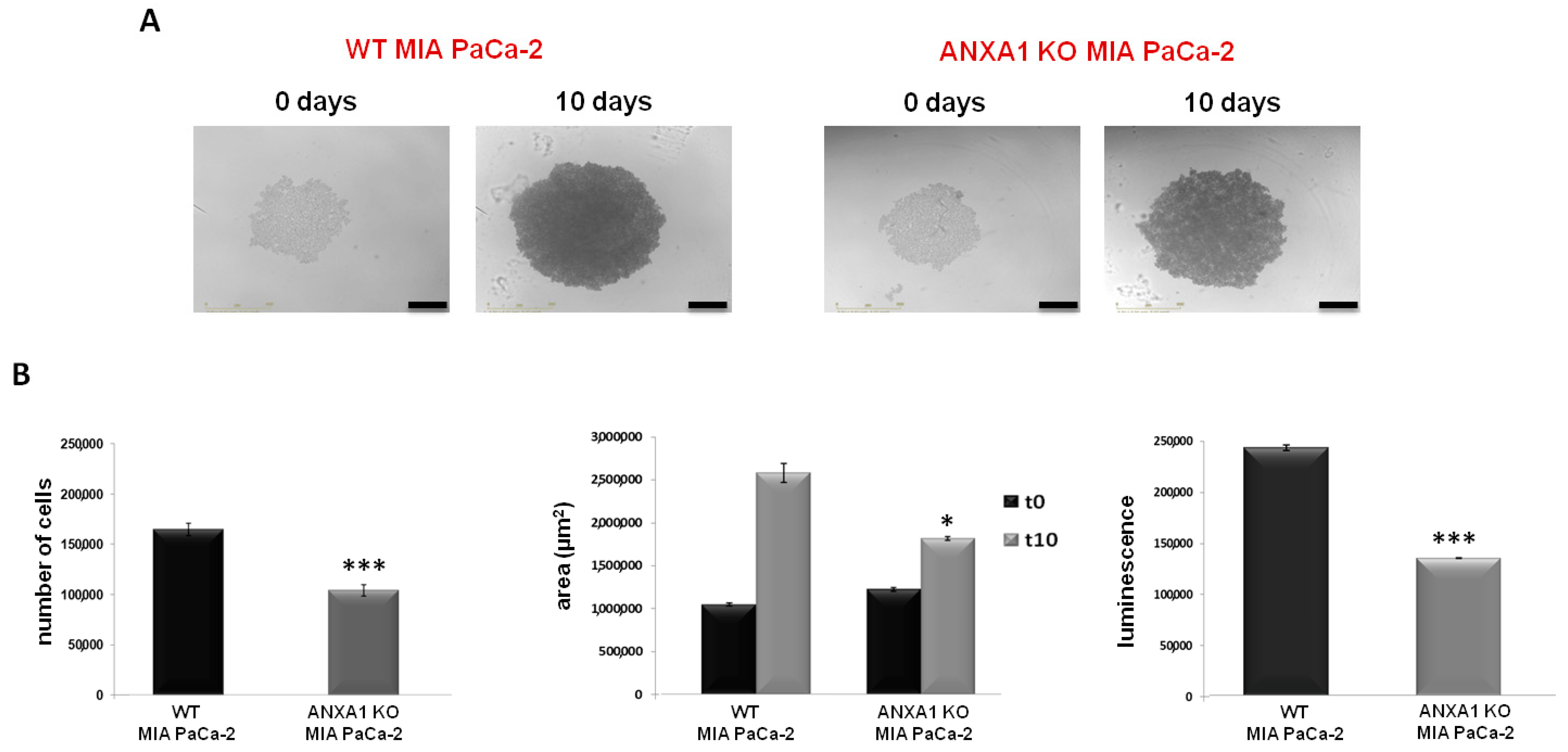 Cancers | Free Full-Text | Role of Intracellular and Extracellular ...