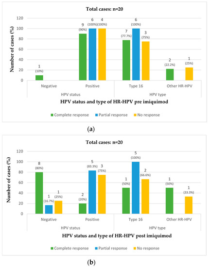Vulvar High-Grade Squamous Intraepithelial Lesions Treated with ...