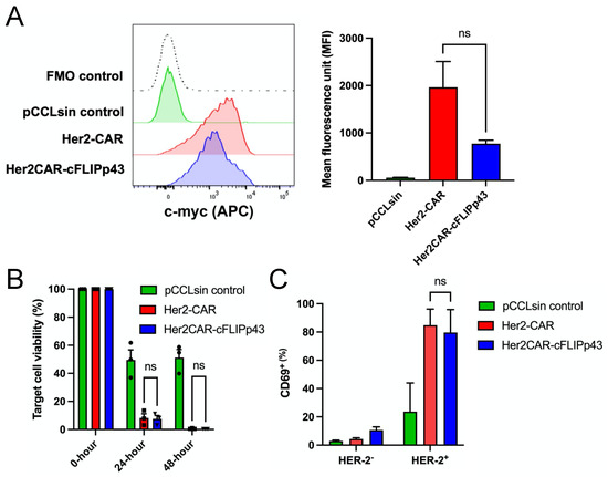 Anti-Apoptotic c-FLIP Reduces the Anti-Tumour Activity of Chimeric ...