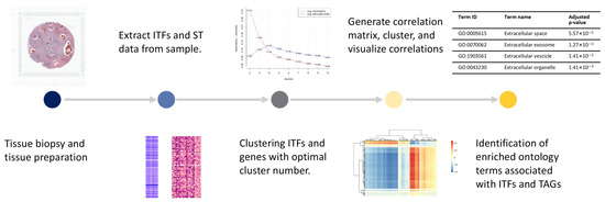 Spatial Transcriptomic Analysis Reveals Associations between Genes and ...