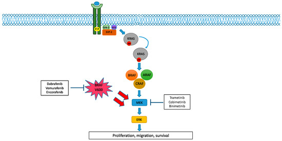 BRAF Inhibitors in Non-Small Cell Lung Cancer