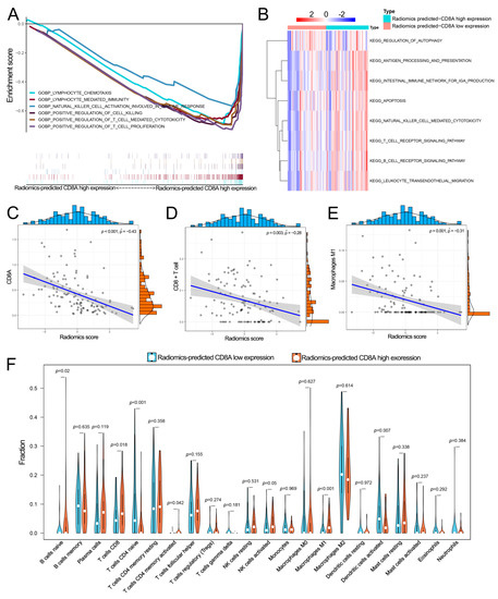 CD8A as a Prognostic and Immunotherapy Predictive Biomarker Can Be ...