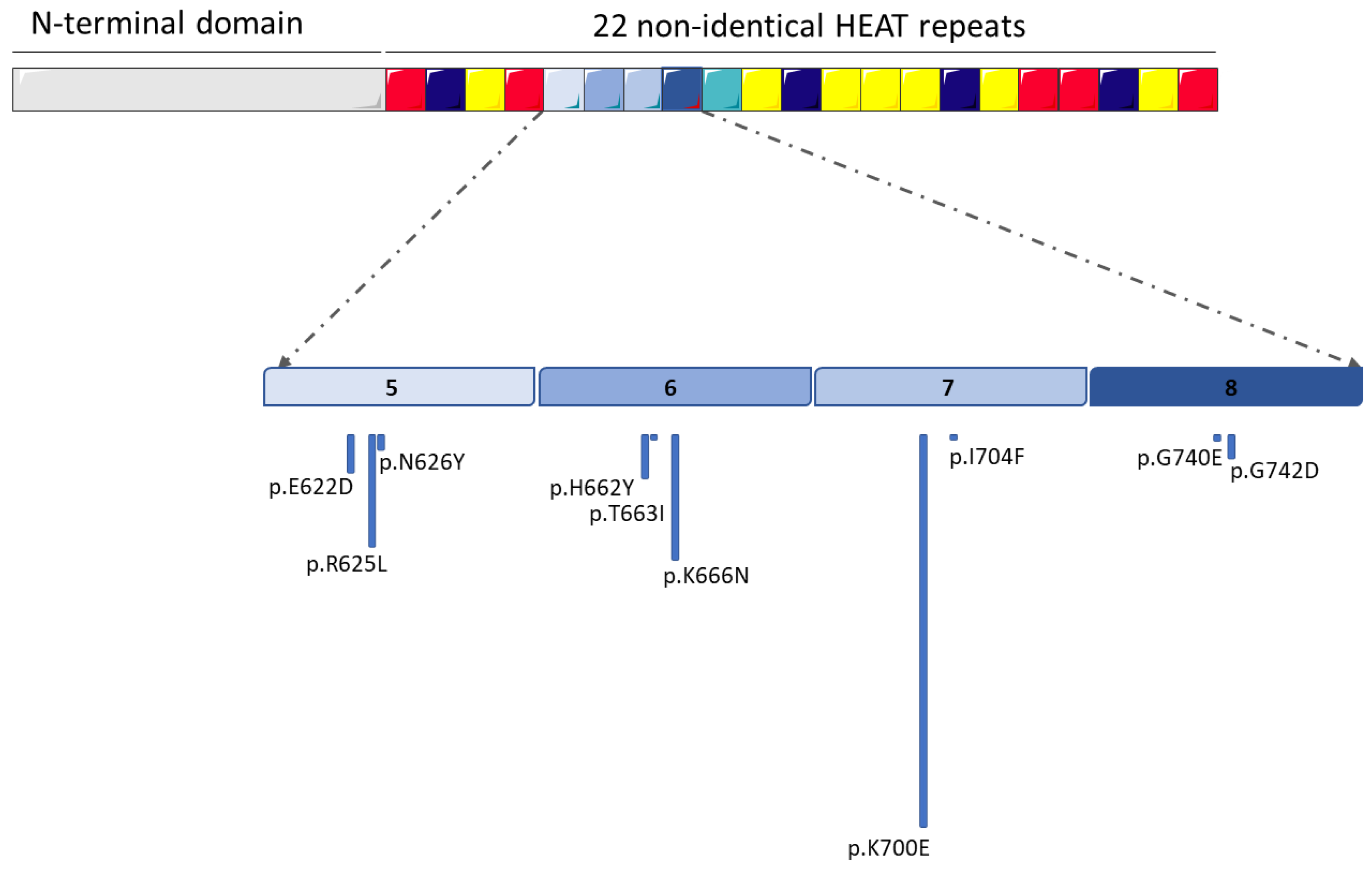 SF3B1 Mutations in Hematological Malignancies