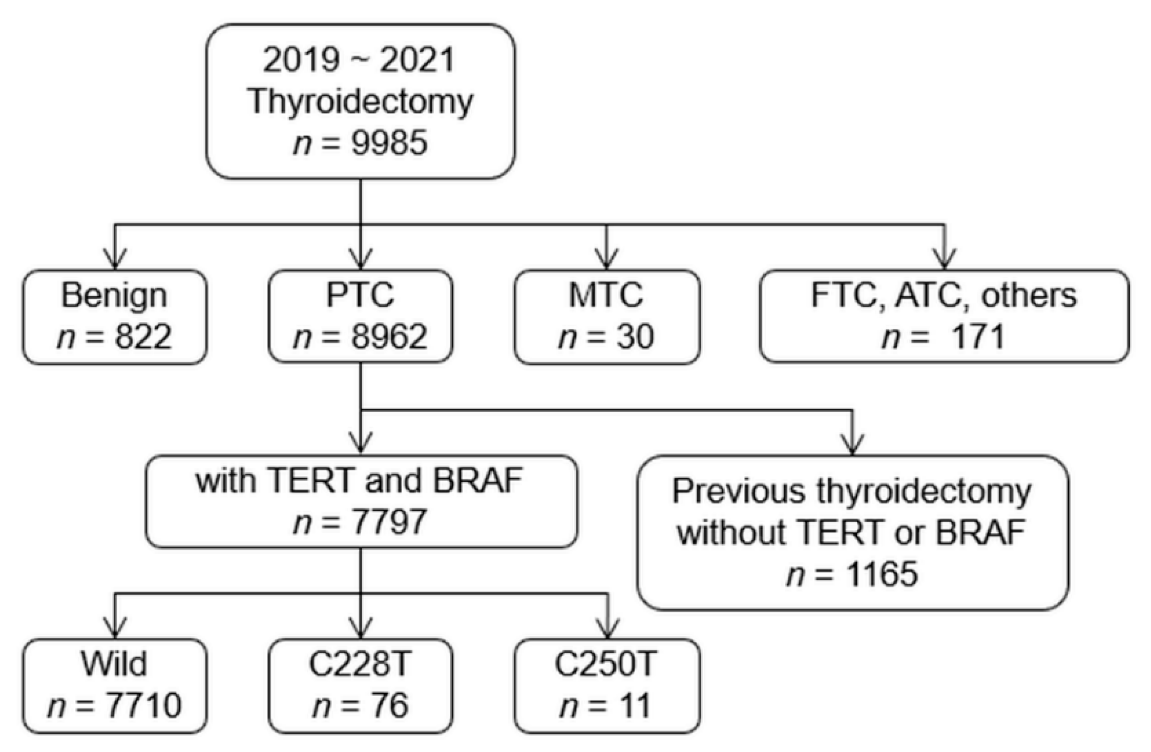 Cancers Free Full Text Tert Promoter And Braf V600e Mutations In