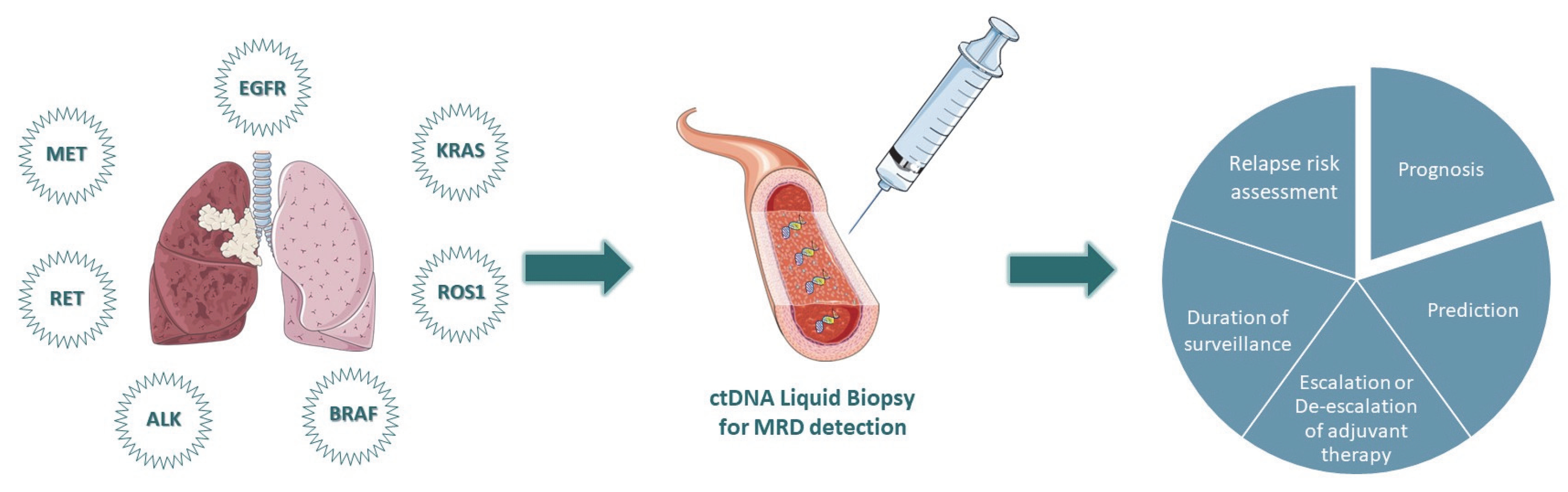 Prognostic Value of Circulating Tumor DNA (ctDNA) in Oncogene-Driven NSCLC: Current Knowledge ...